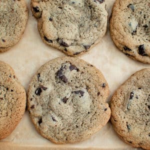 Chocolate Chip Cookies (NF) - Sunflower Bakery